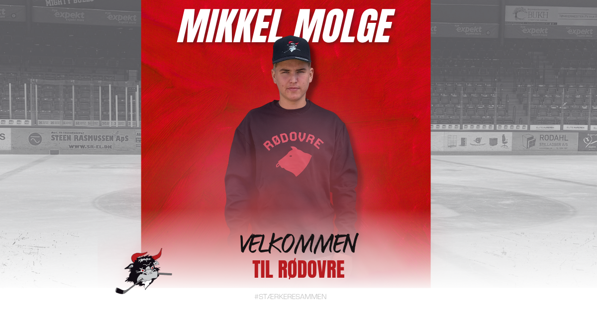 Rødovre Mighty Bulls - Mikkel Molge er tilbage i Rødovre trøjen
