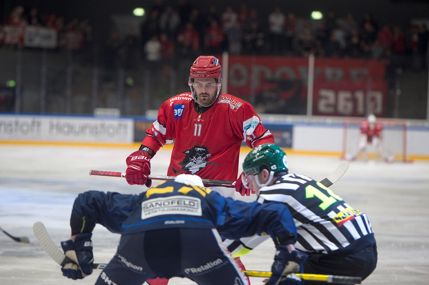 Rødovre Mighty Bulls - Vail: Alle mand er klar til at kæmpe