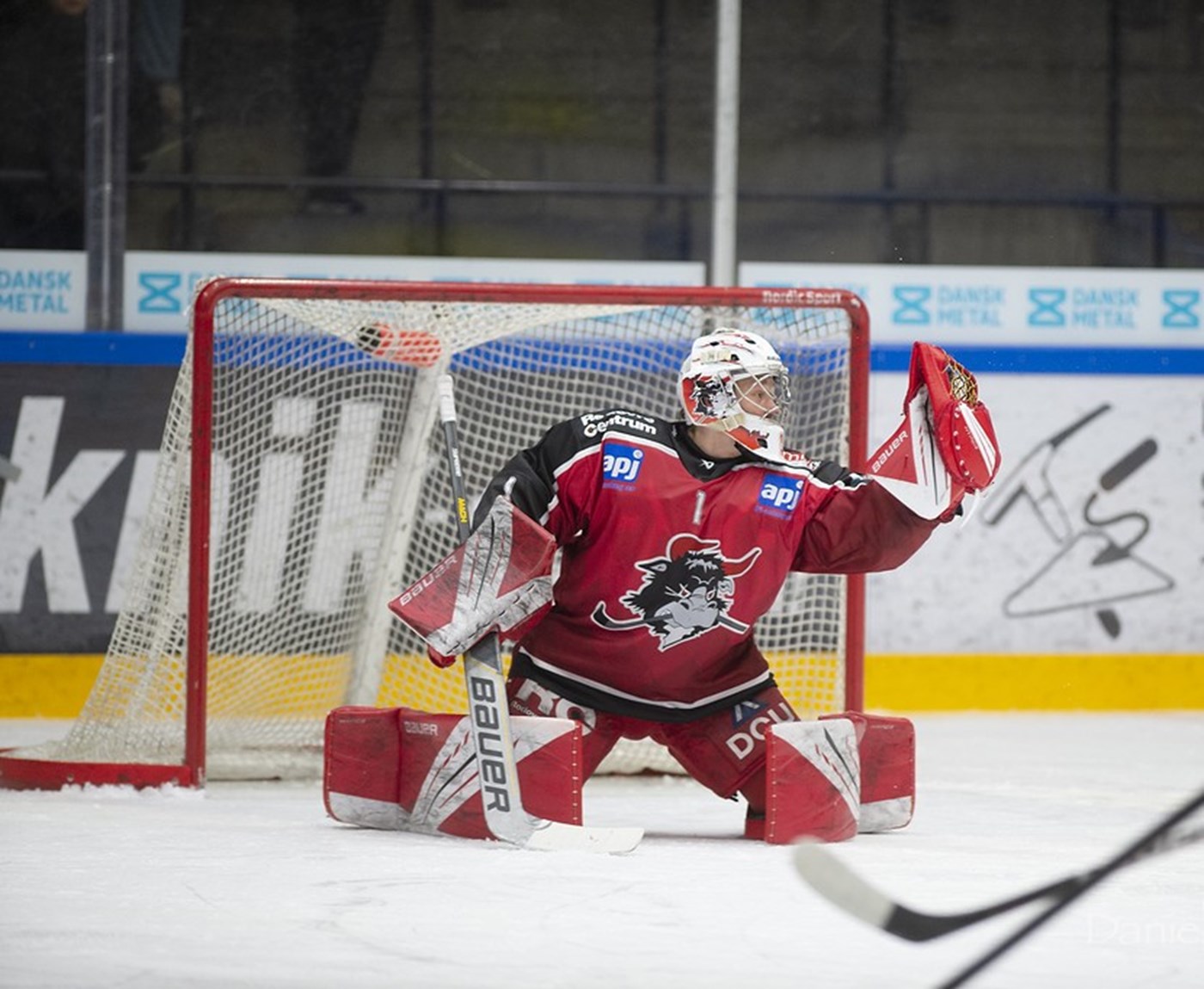 Rødovre Mighty Bulls - OPTAKT: Rødovre Mighty Bulls vs. Frederikshavn ...